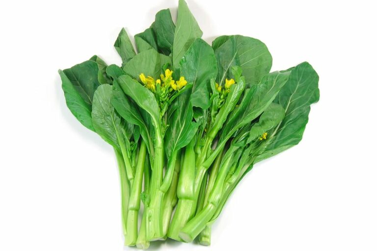 Asian Vegetables Guide (With Mushrooms & Herbs)