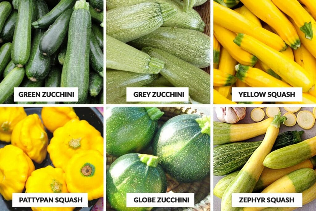 25 Best Summer Squash & Zucchini Recipes