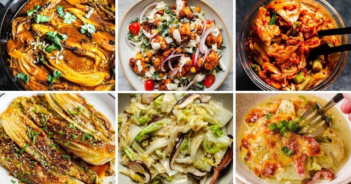 15 Best Napa Cabbage Recipes