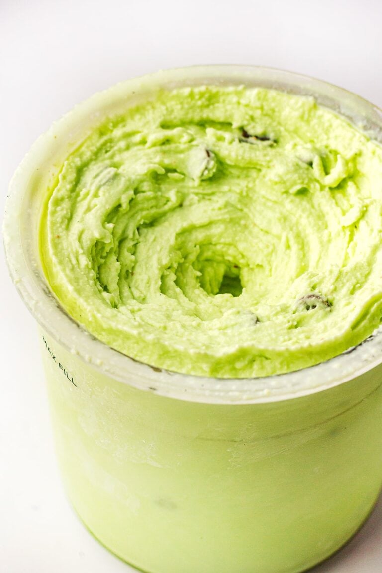 Mint Chocolate Chip Ninja Creami Ice Cream
